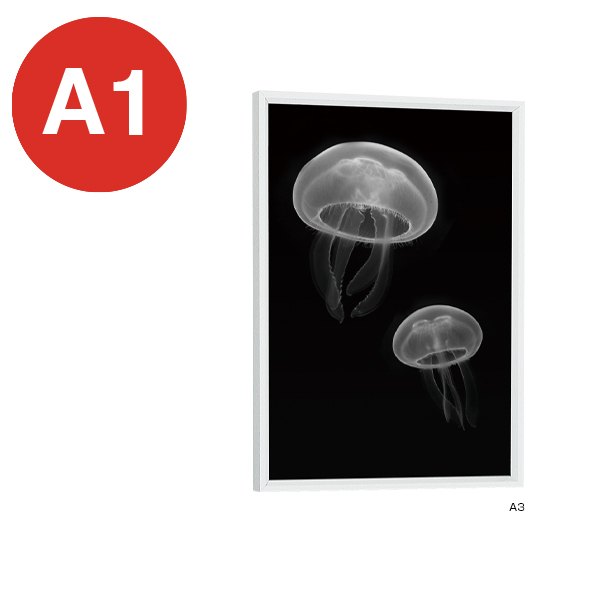 ポスターパネル ホワイト 345 A1 - 調理器具のSHOKUBI