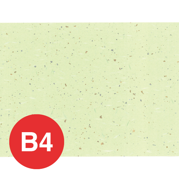 えいむ OA 和紙 金銀雲竜 B4 OB-40 草 - 調理器具のSHOKUBI