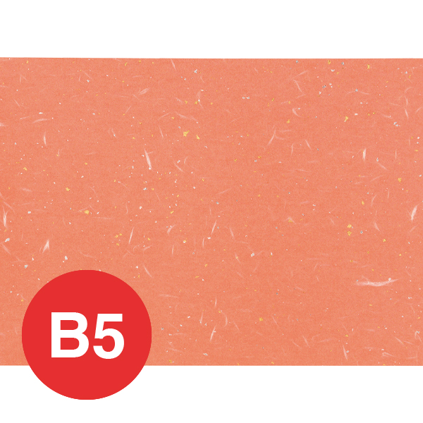 えいむ OA 和紙 金銀雲竜 B5 OB-51 レンガ - 調理器具のSHOKUBI