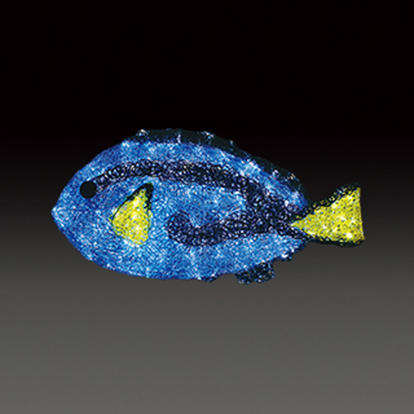 LEDクリスタルグロー ナンヨウハギ - 調理器具のSHOKUBI