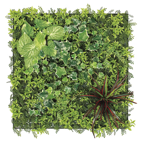 グリーンモード (ベルク) 連接グリーン 60角 GR1159 - 調理器具のSHOKUBI