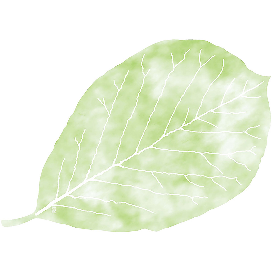 尺3 四季彩まっと この葉型抜き 50枚入り 青ほう葉 - 調理器具のSHOKUBI