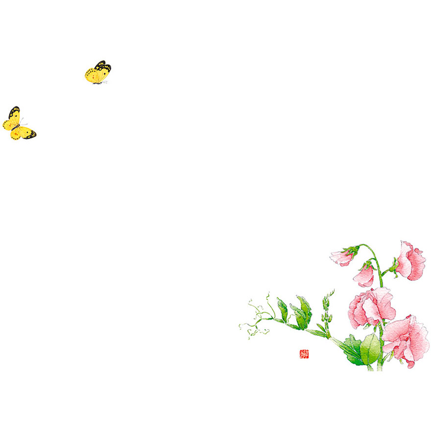 尺3 テーブルマット 100枚入り No.521 ちょうちょとスイートピー - 調理器具のSHOKUBI