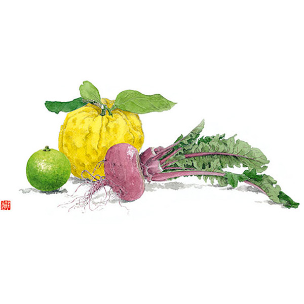 尺3 テーブルマット 100枚入り No.531 鬼柚子と赤カブ - 調理器具のSHOKUBI