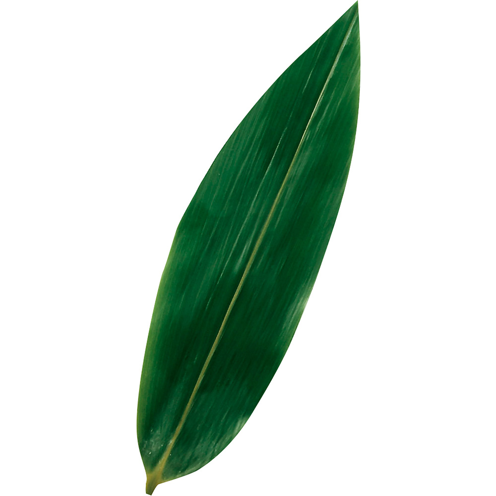 青笹 100枚 SSサイズ - 調理器具のSHOKUBI