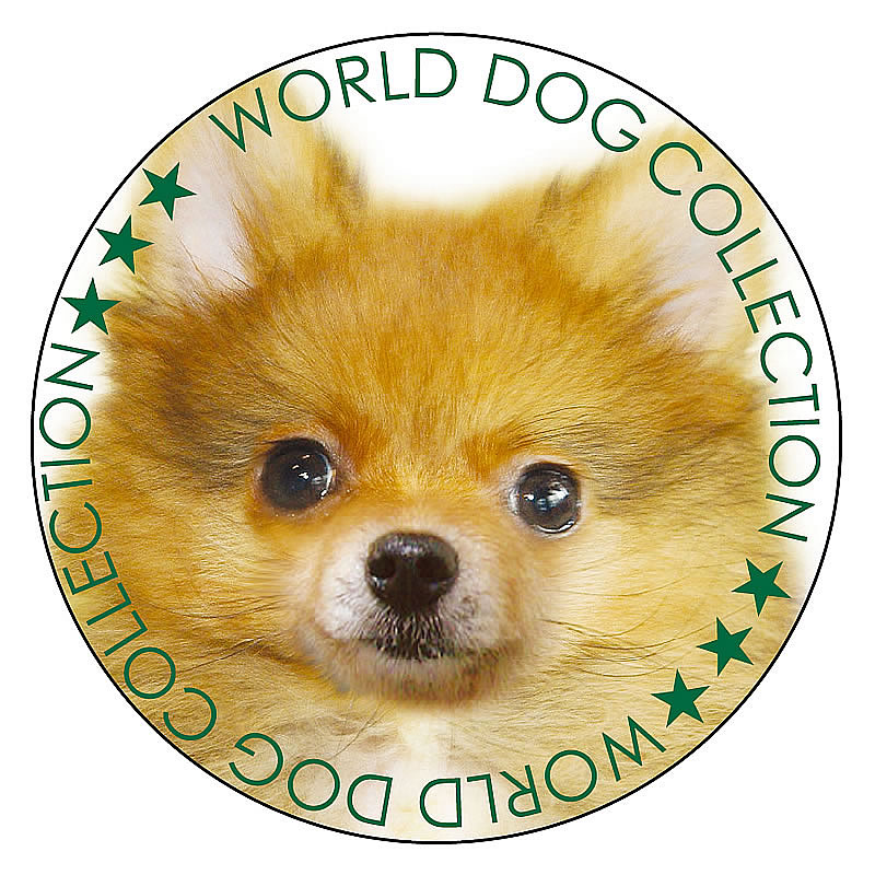 増田紙工 デザイン紙コースター 犬 ＜同柄/6枚入＞ No.391 ポメラニアン - 調理器具のSHOKUBI