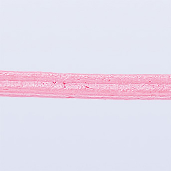 カンダ Ateco 口金 クロス #83 - 調理器具のSHOKUBI