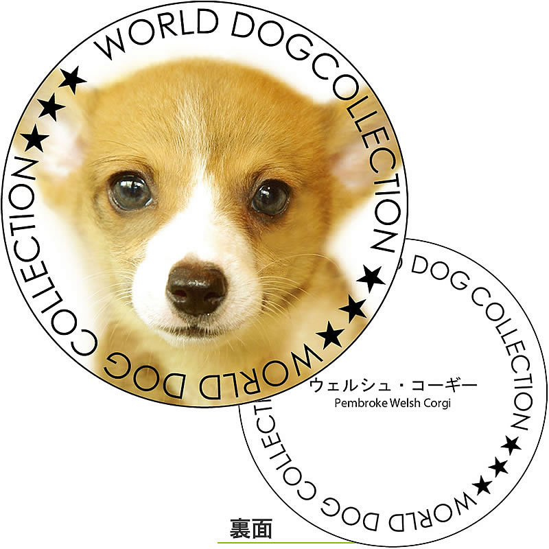 増田紙工 デザイン紙コースター 犬 No.9 - 調理器具のSHOKUBI