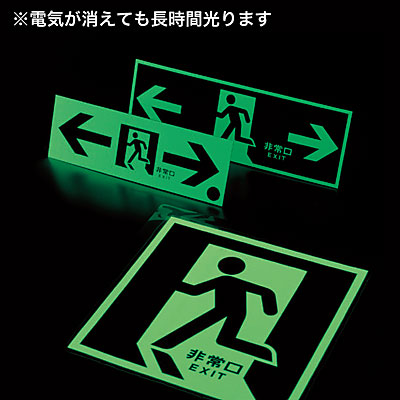 中輝度蓄光式避難口標識 [JAクラス対応] 068804 [非常口 左右矢] - 調理器具のSHOKUBI